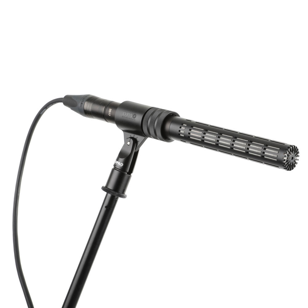 Shotgun Mics - Everything Audio