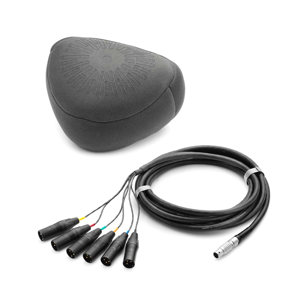 DPA 5100 Mobile 5.1 Surround Microphone - Everything Audio