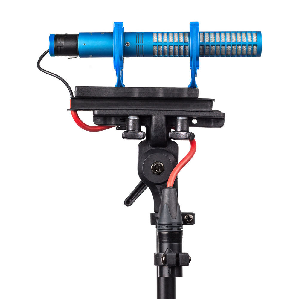 Rycote Modular Windshield WS4 Kit - Everything Audio