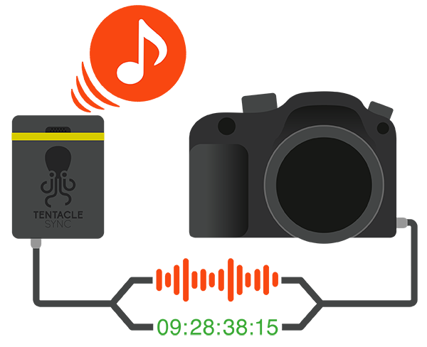 Tentacle Sync E TE2 MKII Timecode Generator & Bluetooth Data Control (Double Set) - Everything Audio